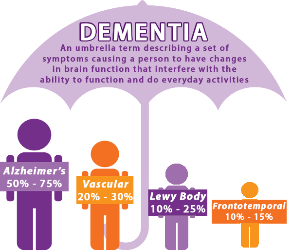Dementia Risks And Factors Do Genetics Play A Part Healthy Eats dementia-risks-and-factors-do-genetics-play-a-part-healthy-eats